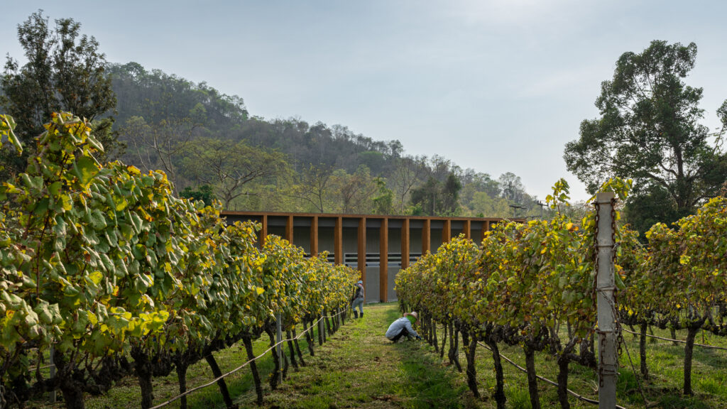 Granmonte Winery - SkyGround SkyGround